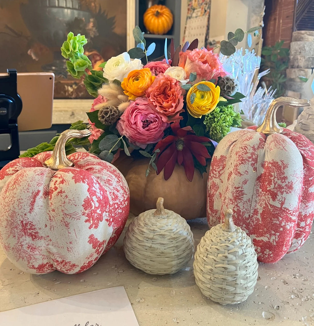 Hello and welcome to Grace Harris Collection!